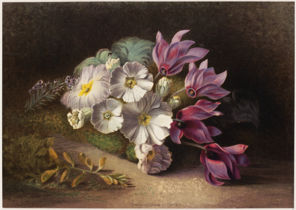 Prang, Louis & Company Collection | Boston Public Library