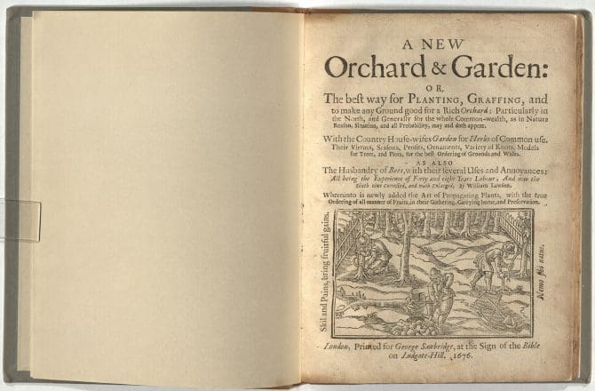 Codman Collection | Boston Public Library