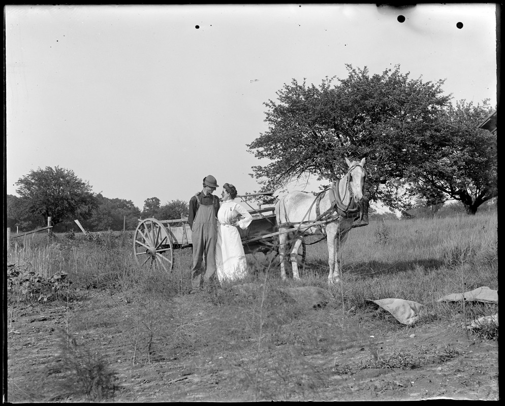 Featured Image: Henry and Edna | Boston Public Library
