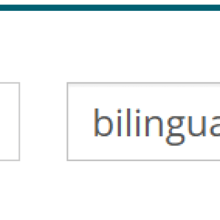 Discovering Bilingual Materials in English – Chinese | Boston Public ...